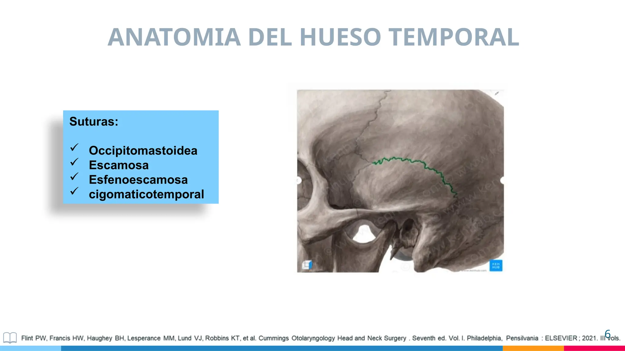 ANATOMIA Y FISIOLOGIA DE LA AUDICION.pptx