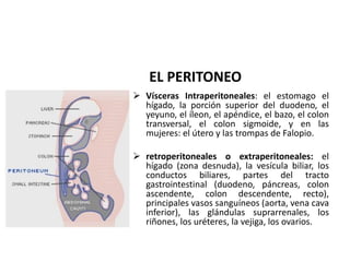ANATOMIA Y FISIOLOGIA DE LA Dialisis peritoneal.pdf