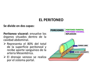 ANATOMIA Y FISIOLOGIA DE LA Dialisis peritoneal.pdf