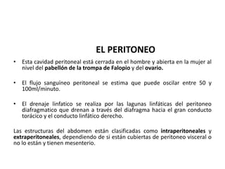 ANATOMIA Y FISIOLOGIA DE LA Dialisis peritoneal.pdf