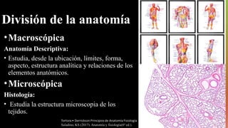 ANATOMIA Y FISIOLOGIA DEL APARATO DIGESTIVO 1.pptx