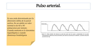Anatomia y fisiologia del apart. cardiovascular. | PPTX