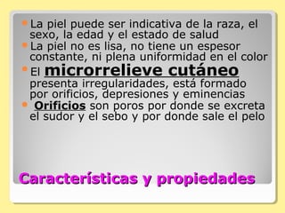 Anatomia y fisiologiadelapiel | PPT