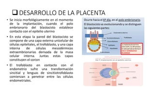 anatomia y fisiologia de la placenta.pptx