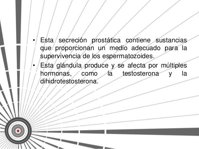 Anatomia y fisiologia de la prostata