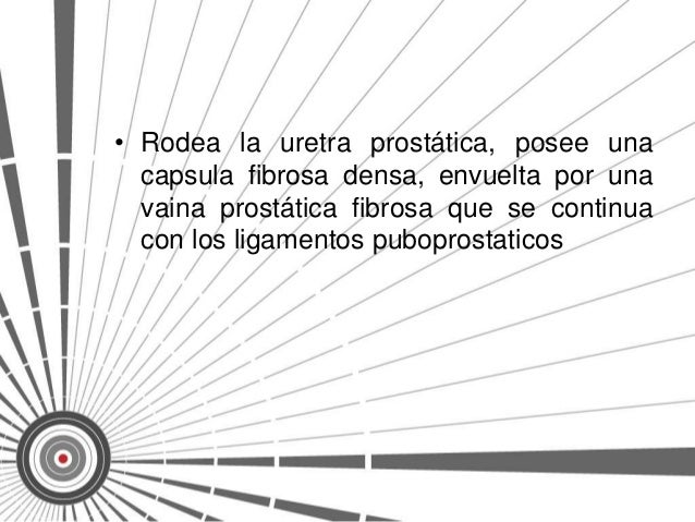 Anatomia y fisiologia de la prostata