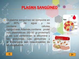 Anatomia y fisiologia de la sangre | PPSX
