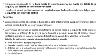 Anatomia y fisiologia del esofago y estomago seminario cirugia.pptx