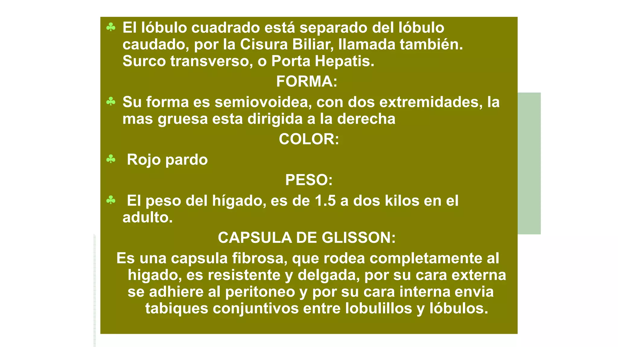 ANATOMIA Y FISIOLOGIA DEL HIGADO.pptx