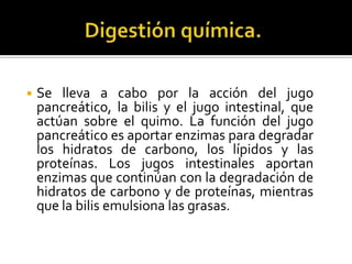 ANATOMIA Y FISIOLOGIA DEL INTESTINO DELGADO Y COLON.pptx