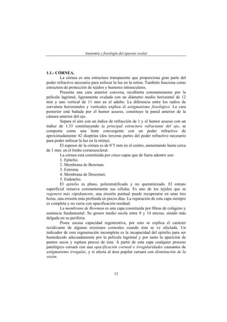 Anatomia y fisiologia del ojo | PDF