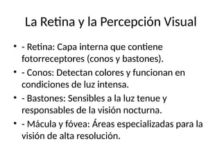 Anatomia_y_Fisiologia_del_Ojohehdjdhdh.pptx
