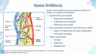 Anatomía y fisiología del sistema linfático.pptx