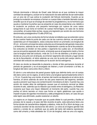 ANATOMIA Y FISIOLOGIA DEL SISTEMA REPRODUCTIVO EN EQUINOS (YULEIDYS).pdf