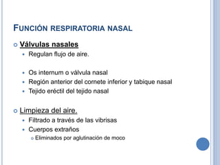 Anatomia_y_fisiologia_de_nariz.pptx