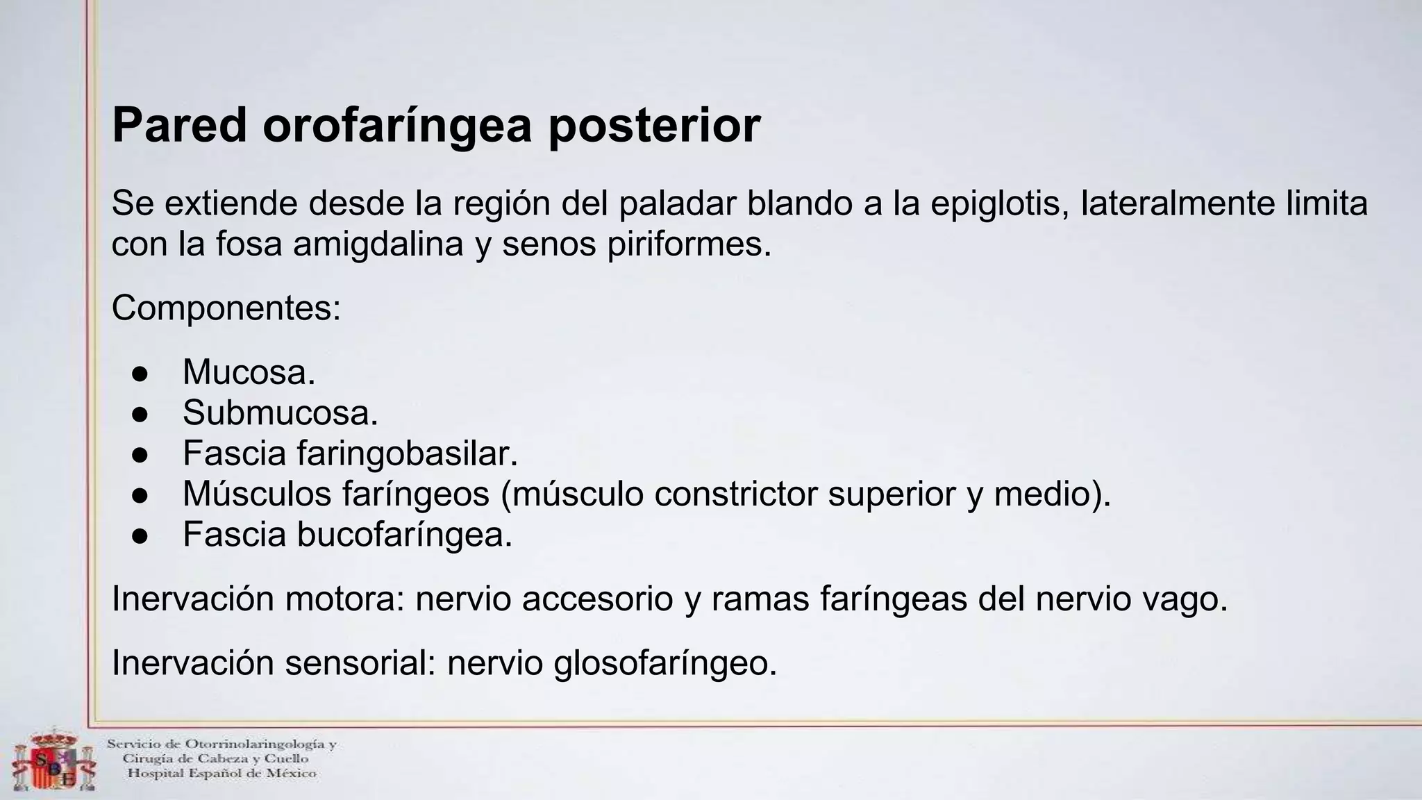 Anatomía y fisiología de orofaringe, glándulas salivales y laringe..pptx