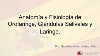 Anatomía y fisiología de orofaringe, glándulas salivales y laringe..pptx