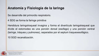 Anatomía y fisiología de orofaringe, glándulas salivales y laringe..pptx
