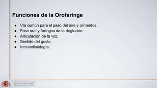 Anatomía y fisiología de orofaringe, glándulas salivales y laringe..pptx