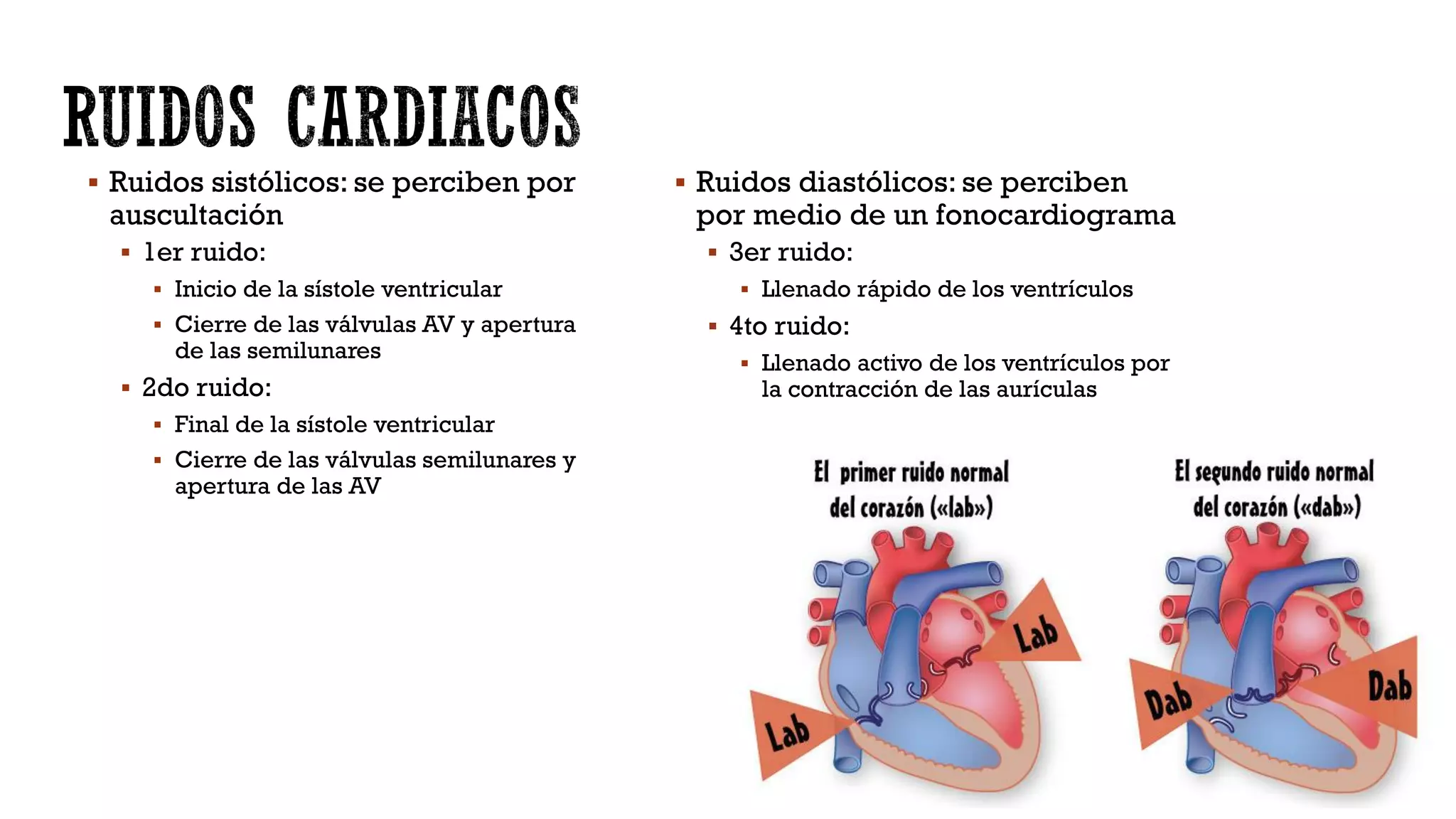 Anatomia y fisiologia de s. cardiovascular | PDF