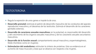 Anatomiay fisiologia de sistema reproductor masculino y femenino | PPTX ...