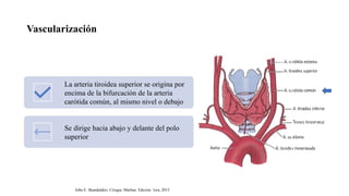 ANATOMIA Y FISIOLOGIA DE LA GLANDULA TIROIDES.pptx