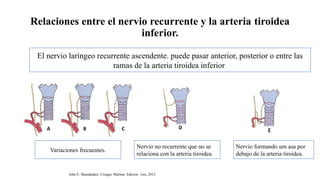 ANATOMIA Y FISIOLOGIA DE LA GLANDULA TIROIDES.pptx