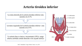 ANATOMIA Y FISIOLOGIA DE LA GLANDULA TIROIDES.pptx
