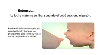 Anatomia y fisiologia glandula mamaria | PPTX