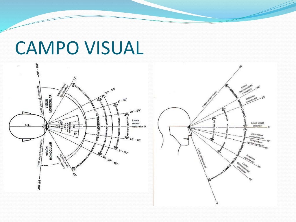 Anatomia y fisiologia ocular DR IVAN UNDA