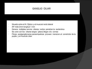 Anatomia y Fisiologia Ocular OftalmoanestesiaUIS | PPT