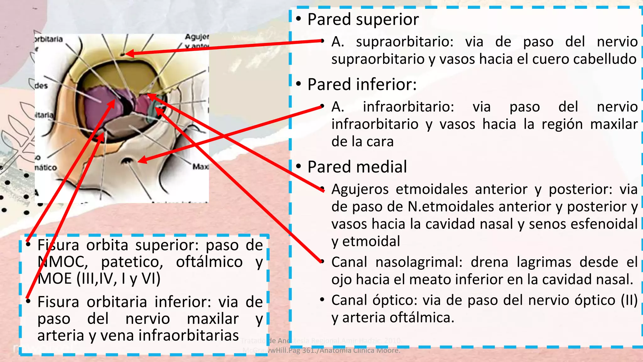 ANATOMIA Y FISIOLOGIA OCULAR Y PERIOCULAR.pptx
