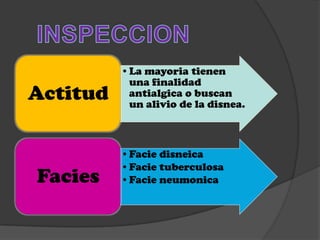 Anatomia y fisiologia pulmonar ok | PPTX