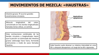 ANATOMIA Y FISIOLOGIA RECTO ANO.pptx