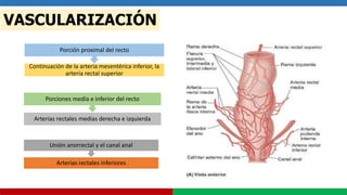 ANATOMIA Y FISIOLOGIA RECTO ANO.pptx