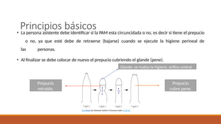 Anatomía y fisiología sistema genitourinario.pptx