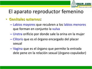 Anatomiayfisiologiasistemareproductor 110616202645-phpapp02 | PDF