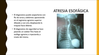 Anatomia y lesiones de esófago.pdf