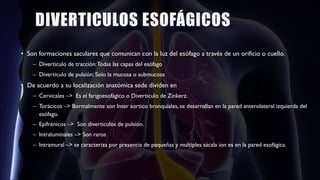 Anatomia y lesiones de esófago.pdf