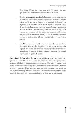 ANATOMÍA Y MORFOLOGÍA VEGETAL.pdf