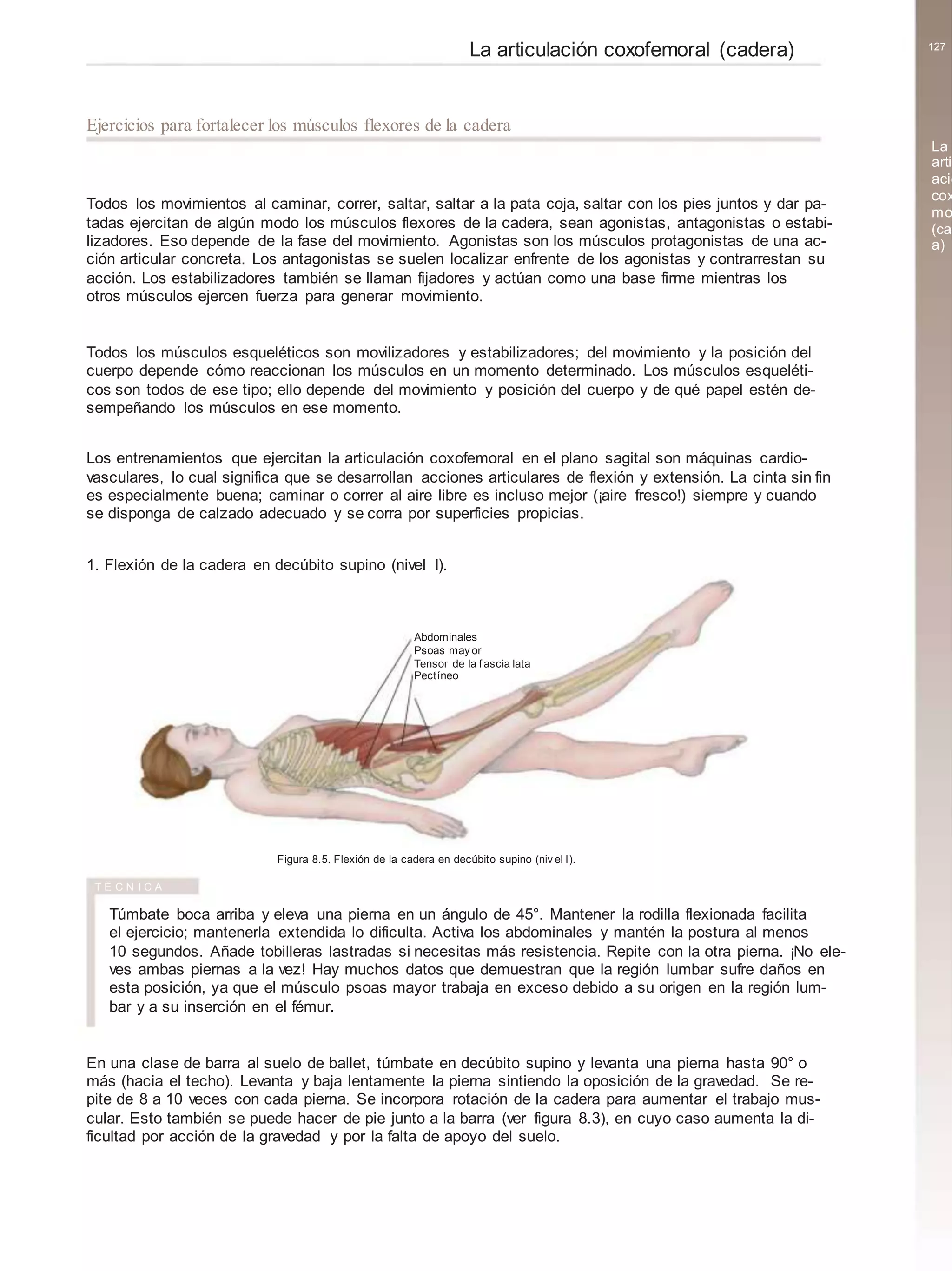 Anatomia y movimiento | DOC
