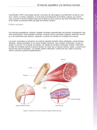 Anatomia y movimiento | DOC