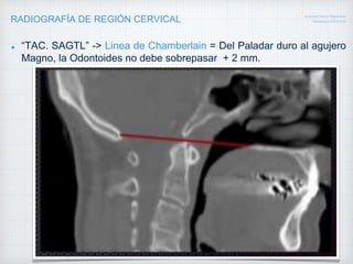 ANATOMÍA Y RADIOLOGÍA BÁSICA.unidad.3 2.pptx