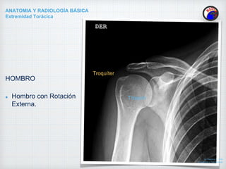 ANATOMÍA Y RADIOLOGÍA BÁSICA.ET 2.pptx