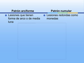Anatomia y semiologia de la piel | PPTX