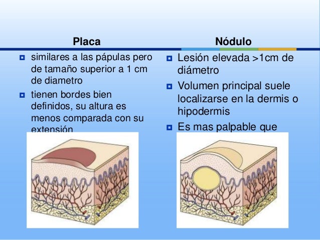 Anatomia y semiologia de la piel