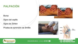ANATOMIA Y SEMIOLOGIA DE LA RODILLA (1) (3).pptx
