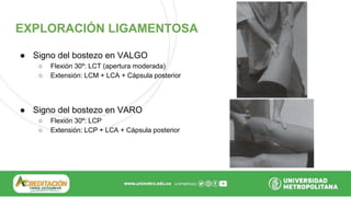 ANATOMIA Y SEMIOLOGIA DE LA RODILLA (1) (3).pptx