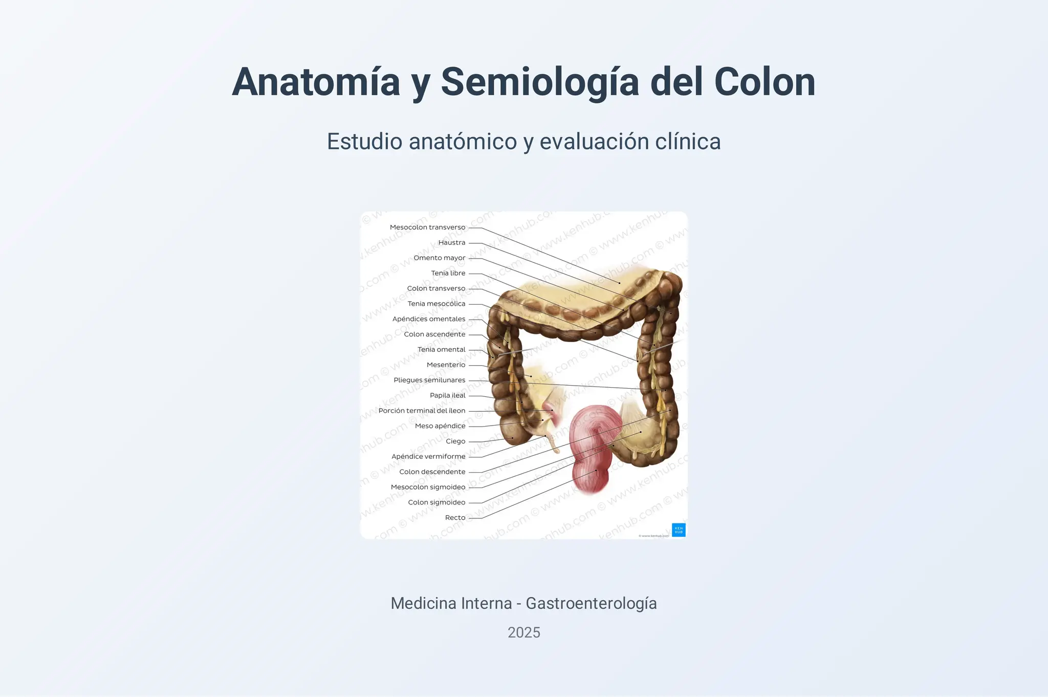Anatomía_y_Semiología_del_Colon.pdf….. | PDF