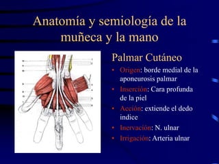 Anatomia y semiologia de muñeca y mano (2).ppt